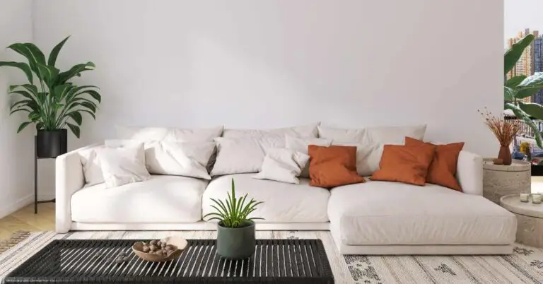 Are Feather Filled Sofa Good? (Explained)